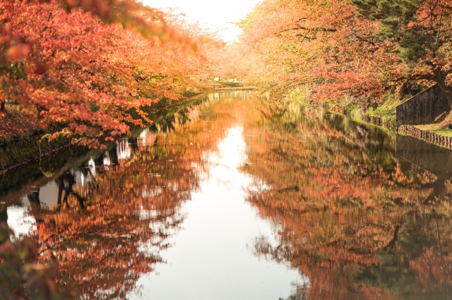 Image gallery (Photos for free download) | Amazing AOMORI - The ...