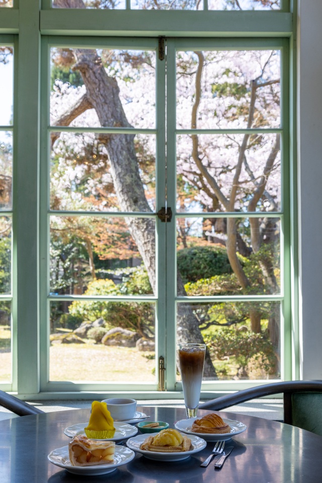 Image gallery (Photos for free download) | Amazing AOMORI - The ...